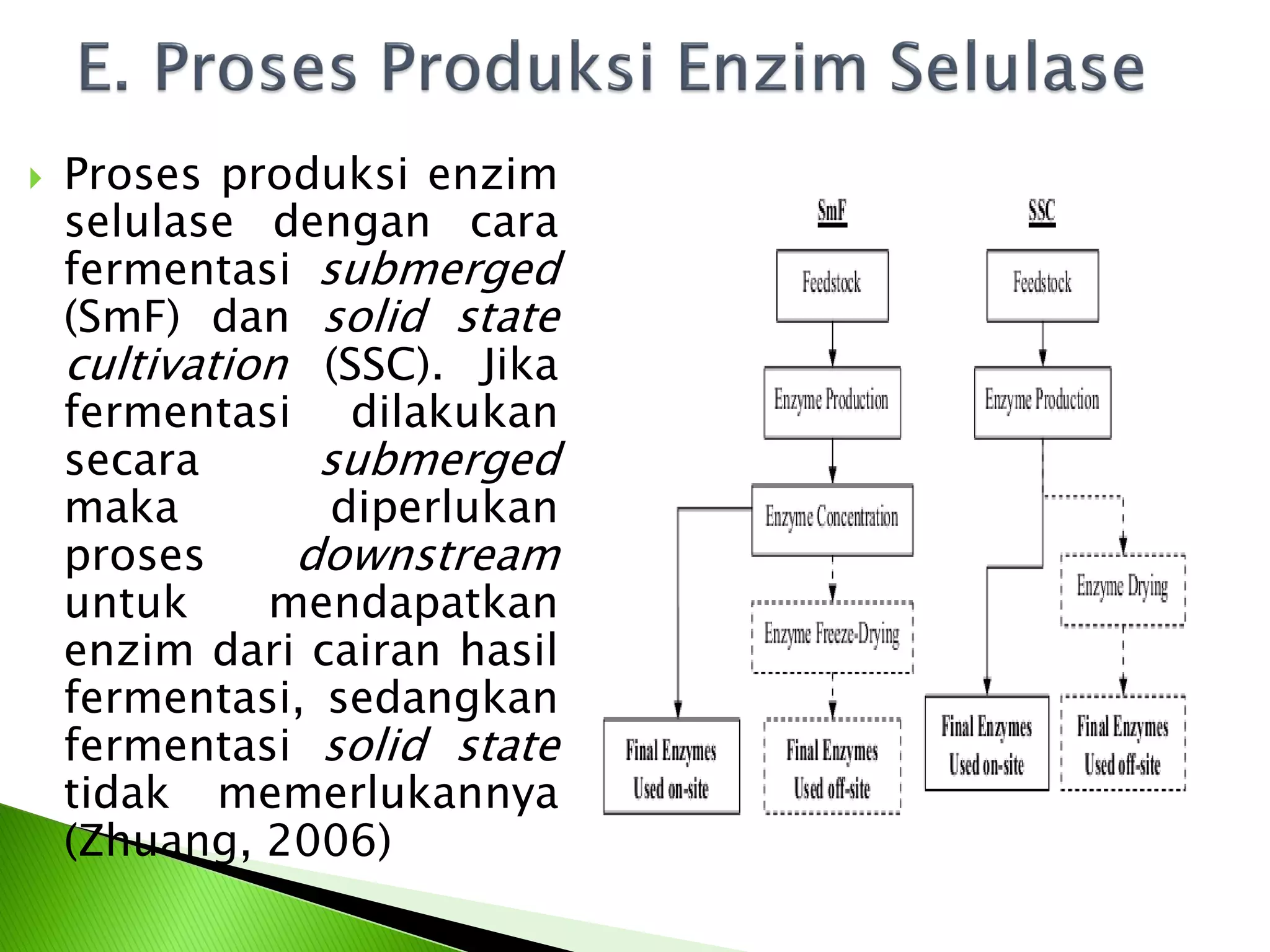 Produksi enzim selulase | PDF