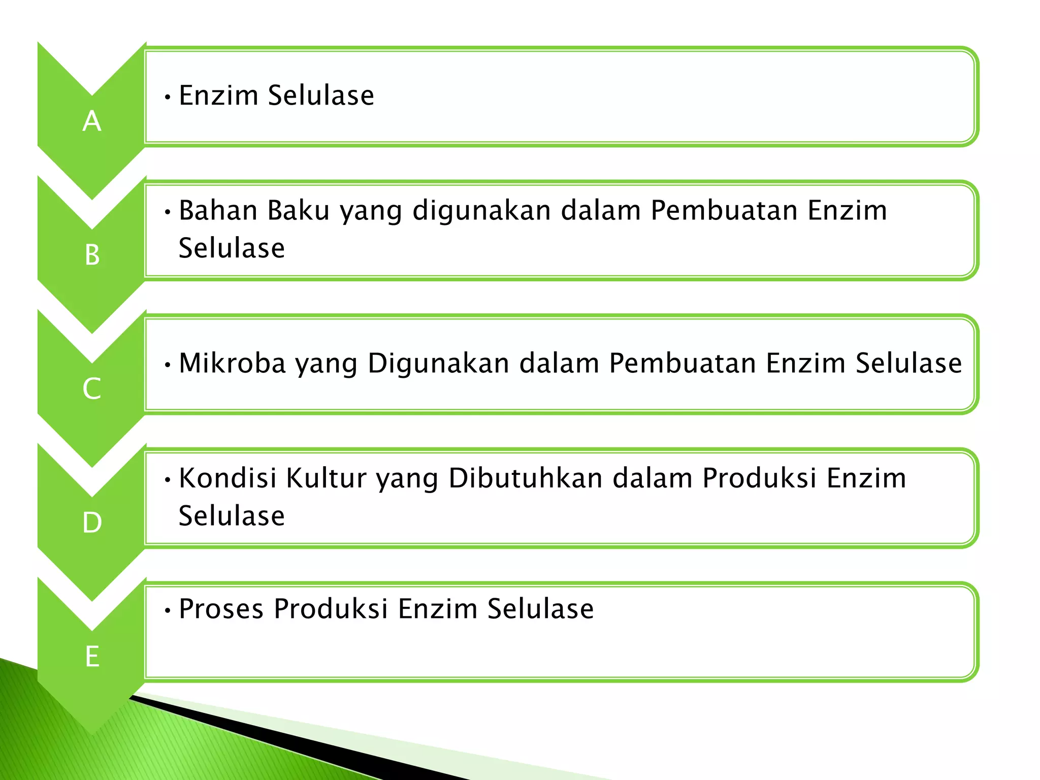 Produksi enzim selulase | PDF