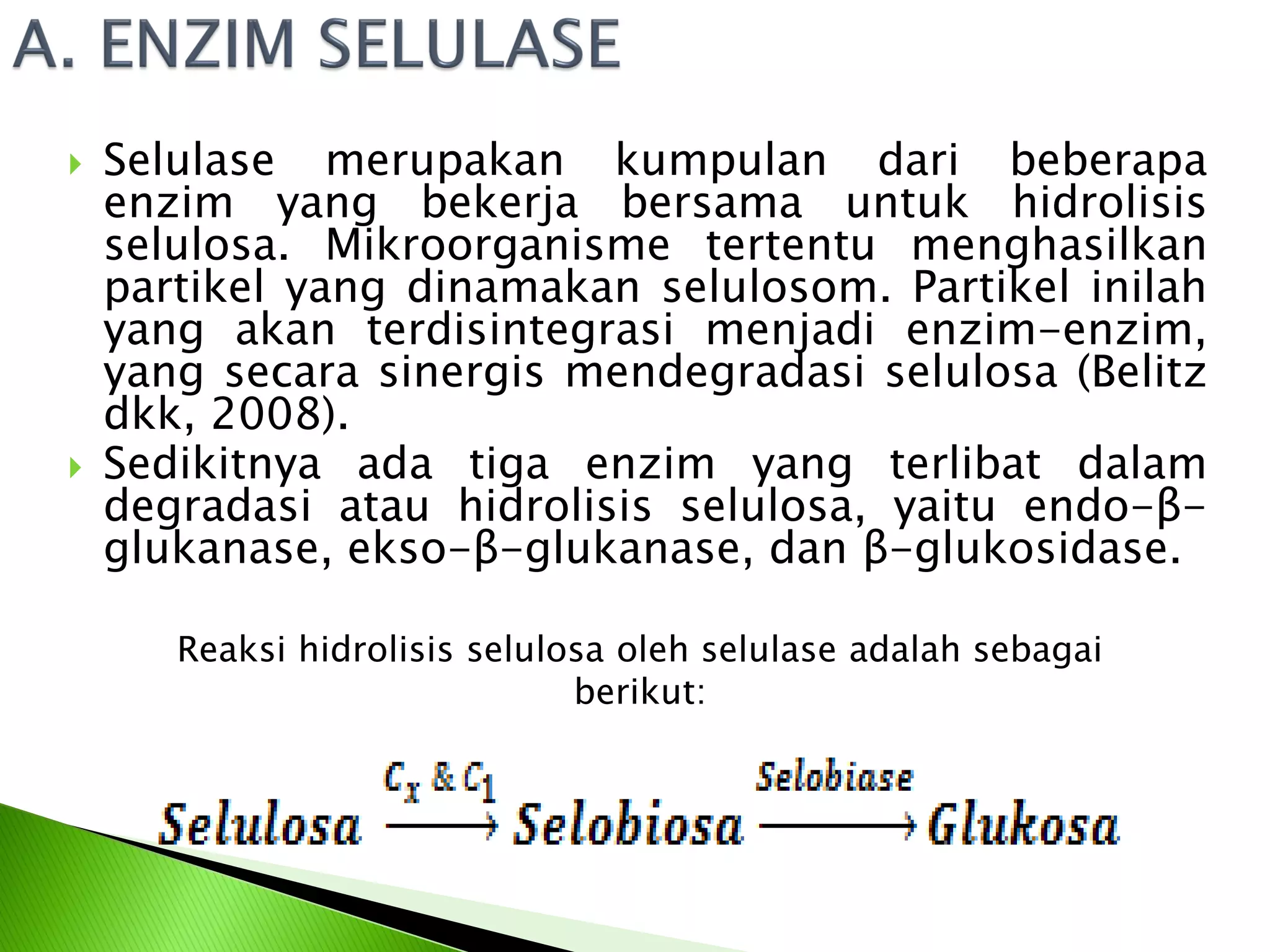 Produksi enzim selulase | PDF