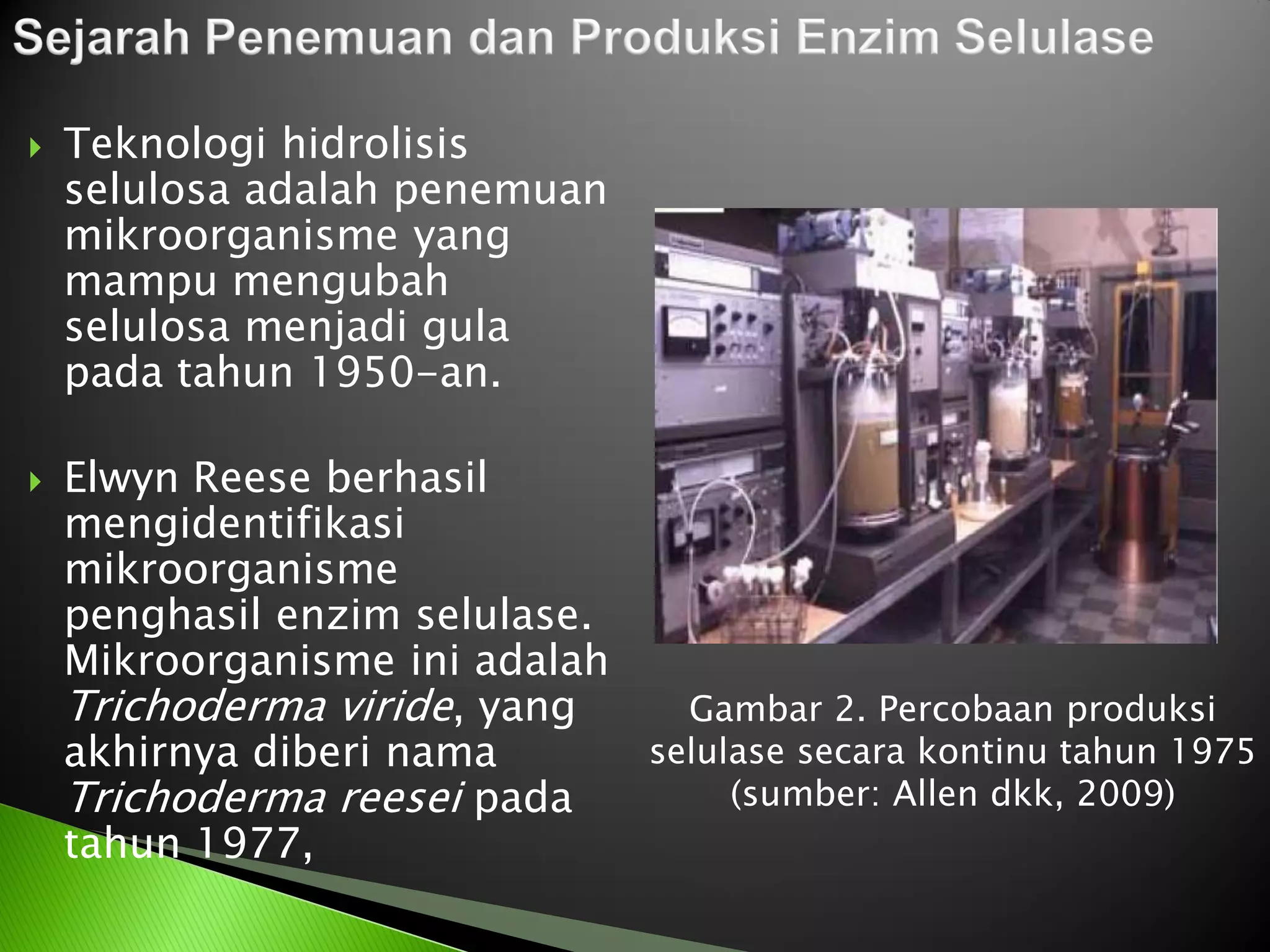 Produksi enzim selulase | PDF
