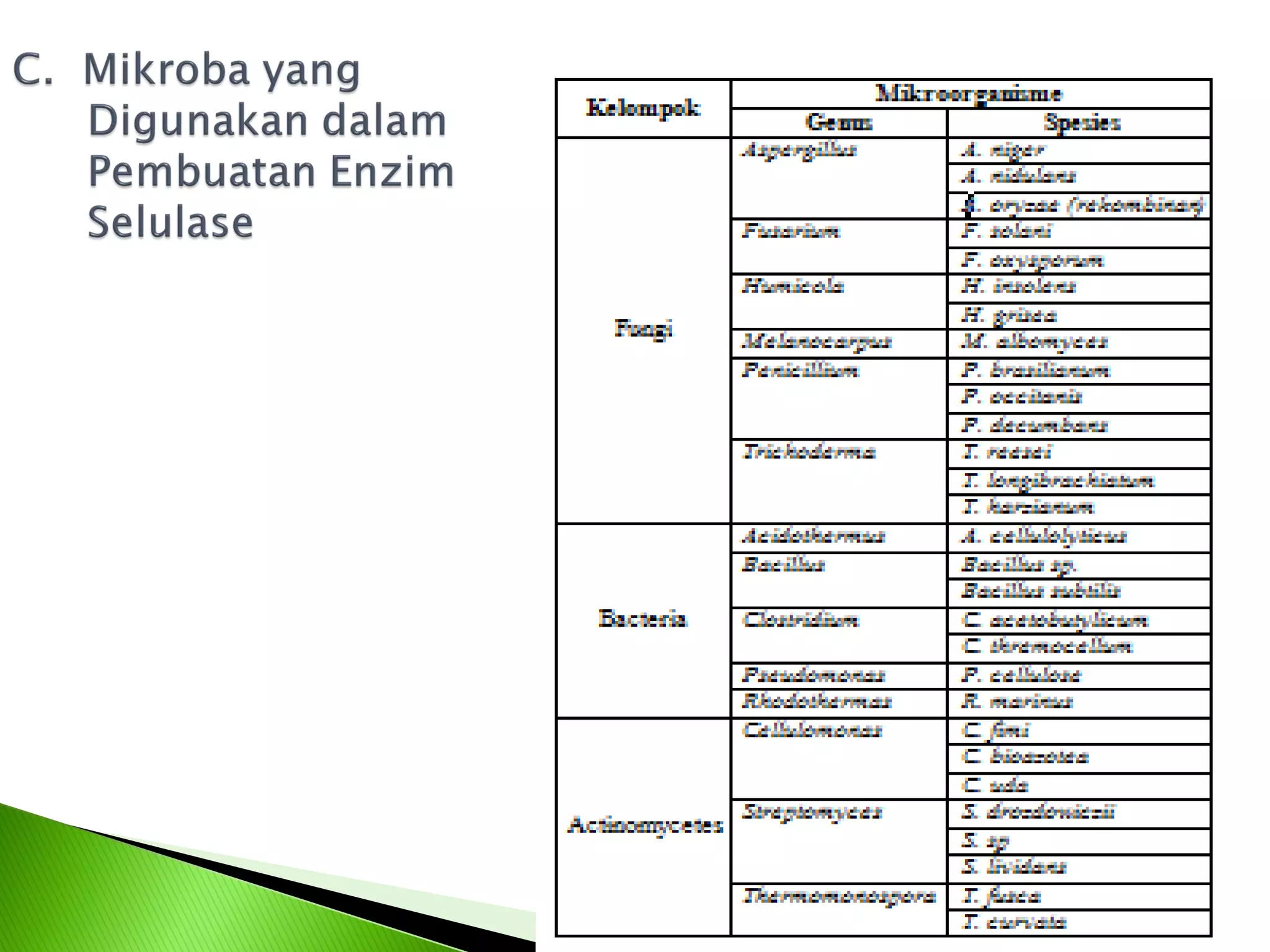 Produksi enzim selulase | PDF