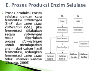 Produksi enzim selulase | PDF