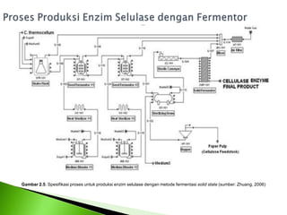 Produksi enzim selulase | PDF