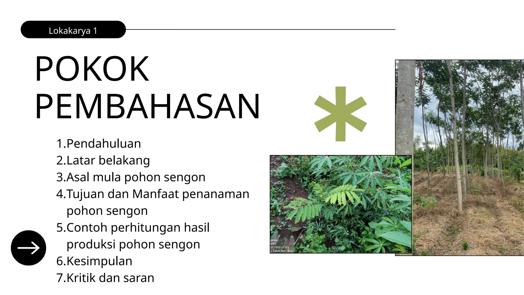 Konservasi alam dan lingkungan produksi kayu pohon sengon.pptx