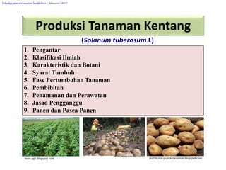 Produksi Tanaman Kentang | PPTX
