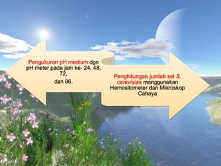 Produksi_Protein_Sel_Tunggal.pptx