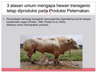 Produksi sapi transgenetik | PPT