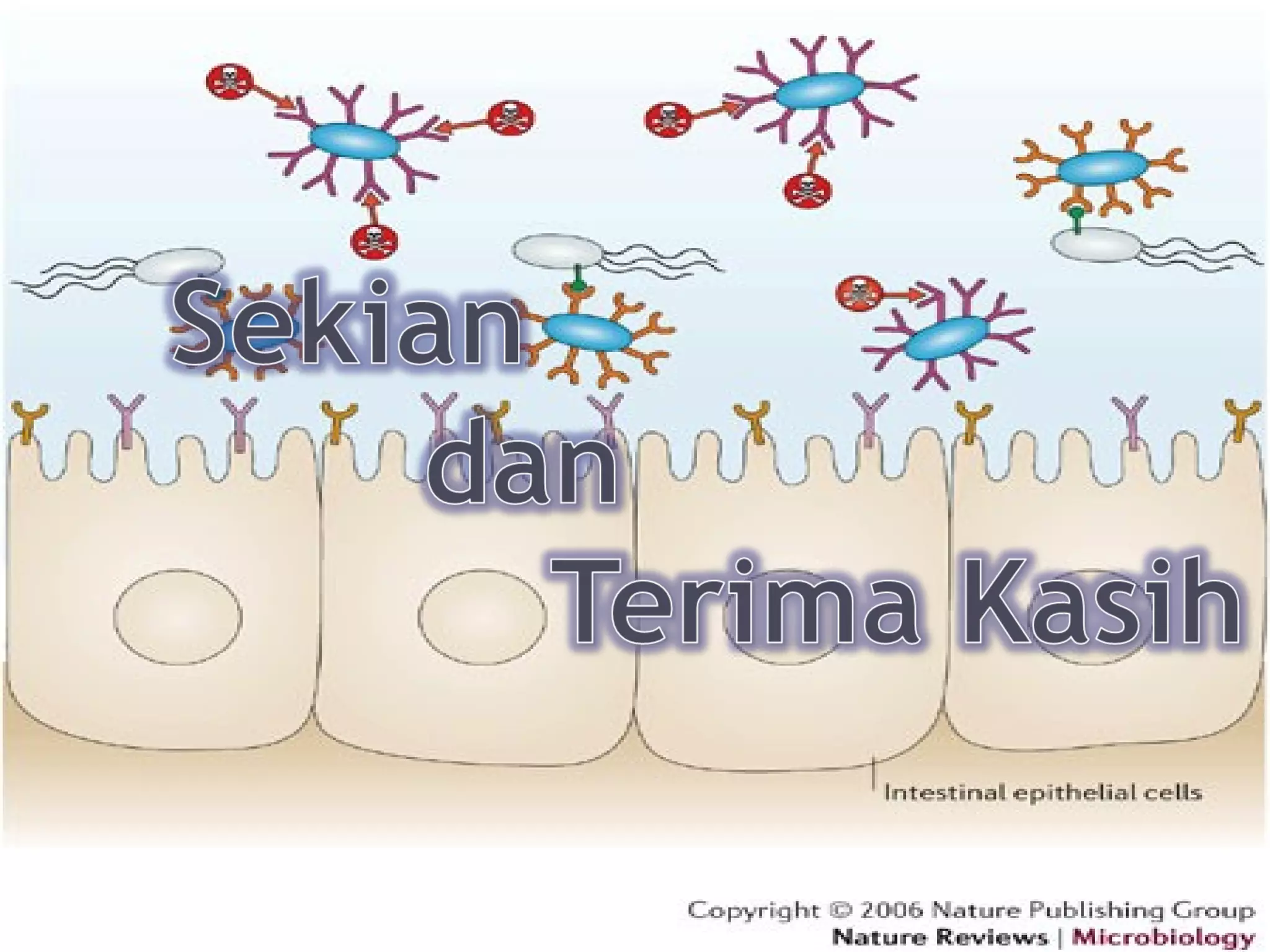 Produksi Vitamin B12 oleh Pseudomonas dan Propionibacterium spp | PPT