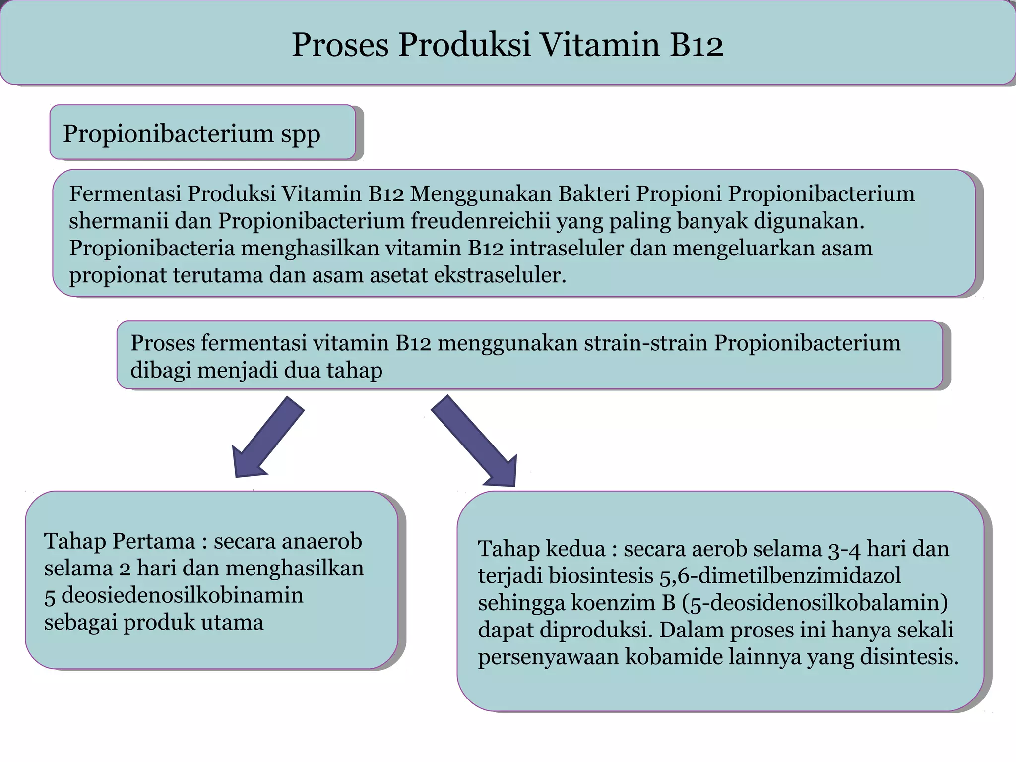 Produksi Vitamin B12 oleh Pseudomonas dan Propionibacterium spp | PPT