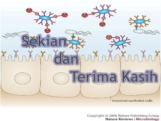 Produksi Vitamin B12 oleh Pseudomonas dan Propionibacterium spp | PPT