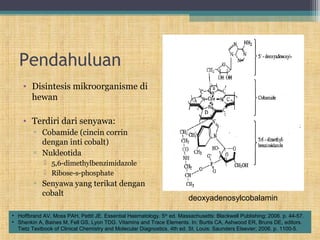 Produksi Vitamin B12 oleh Pseudomonas dan Propionibacterium spp | PPT