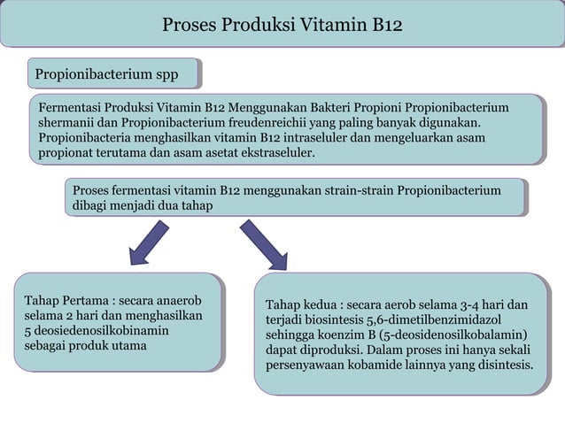 Produksi Vitamin B12 oleh Pseudomonas dan Propionibacterium spp | PPT