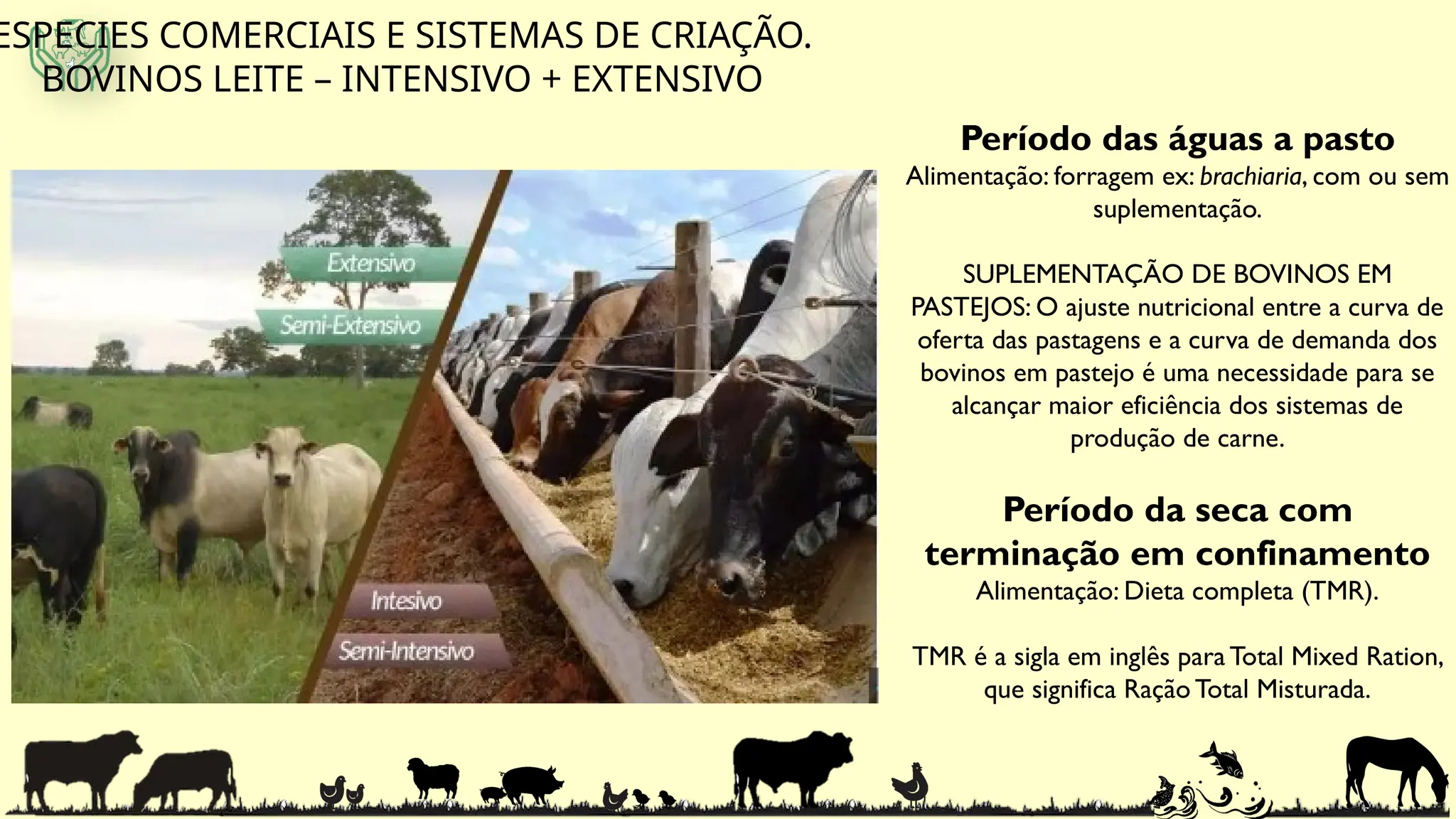 Sistemas de Produção animal - Intensivo semi-extensivo e extensivo | PPTX