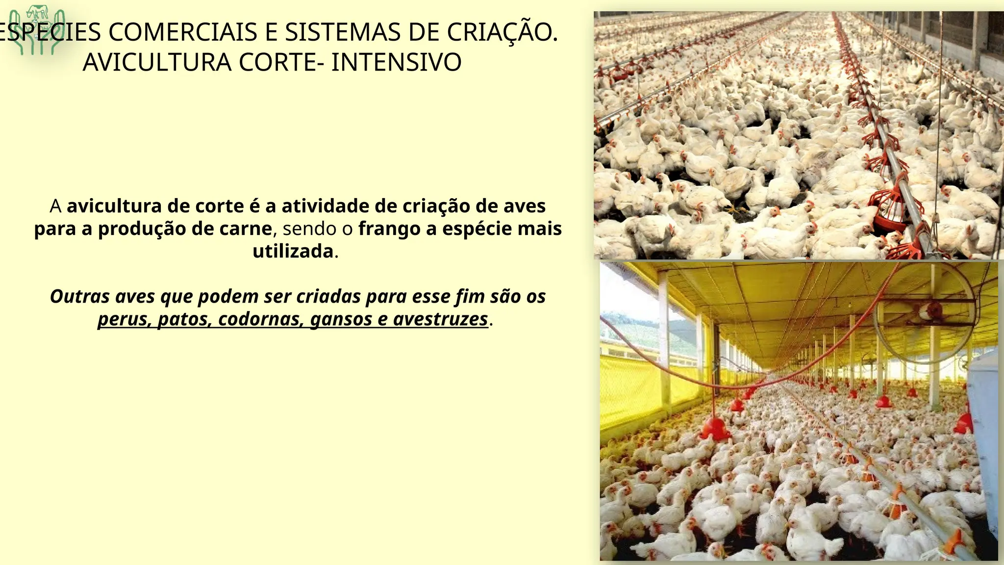 Sistemas de Produção animal - Intensivo semi-extensivo e extensivo | PPTX