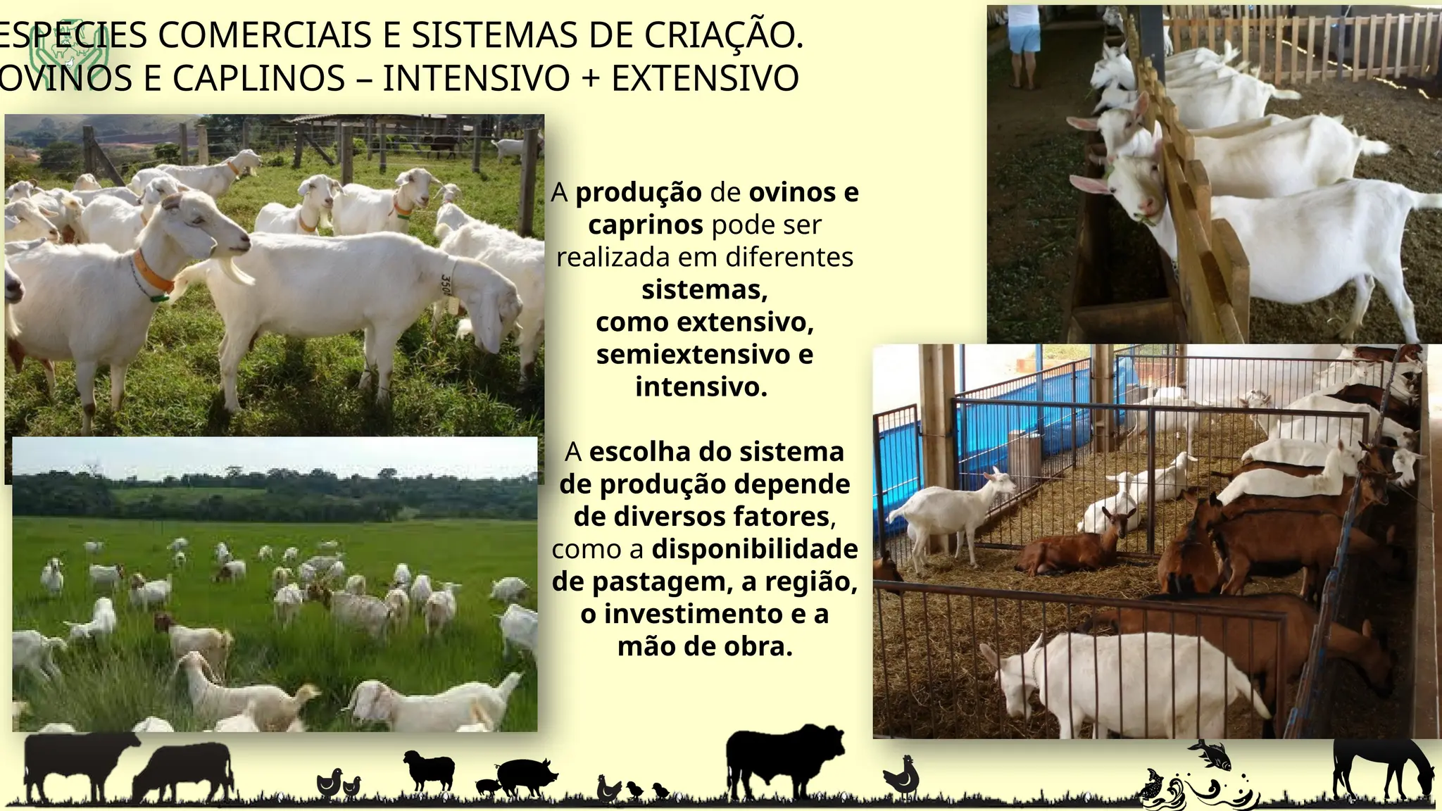 Sistemas de Produção animal - Intensivo semi-extensivo e extensivo | PPTX