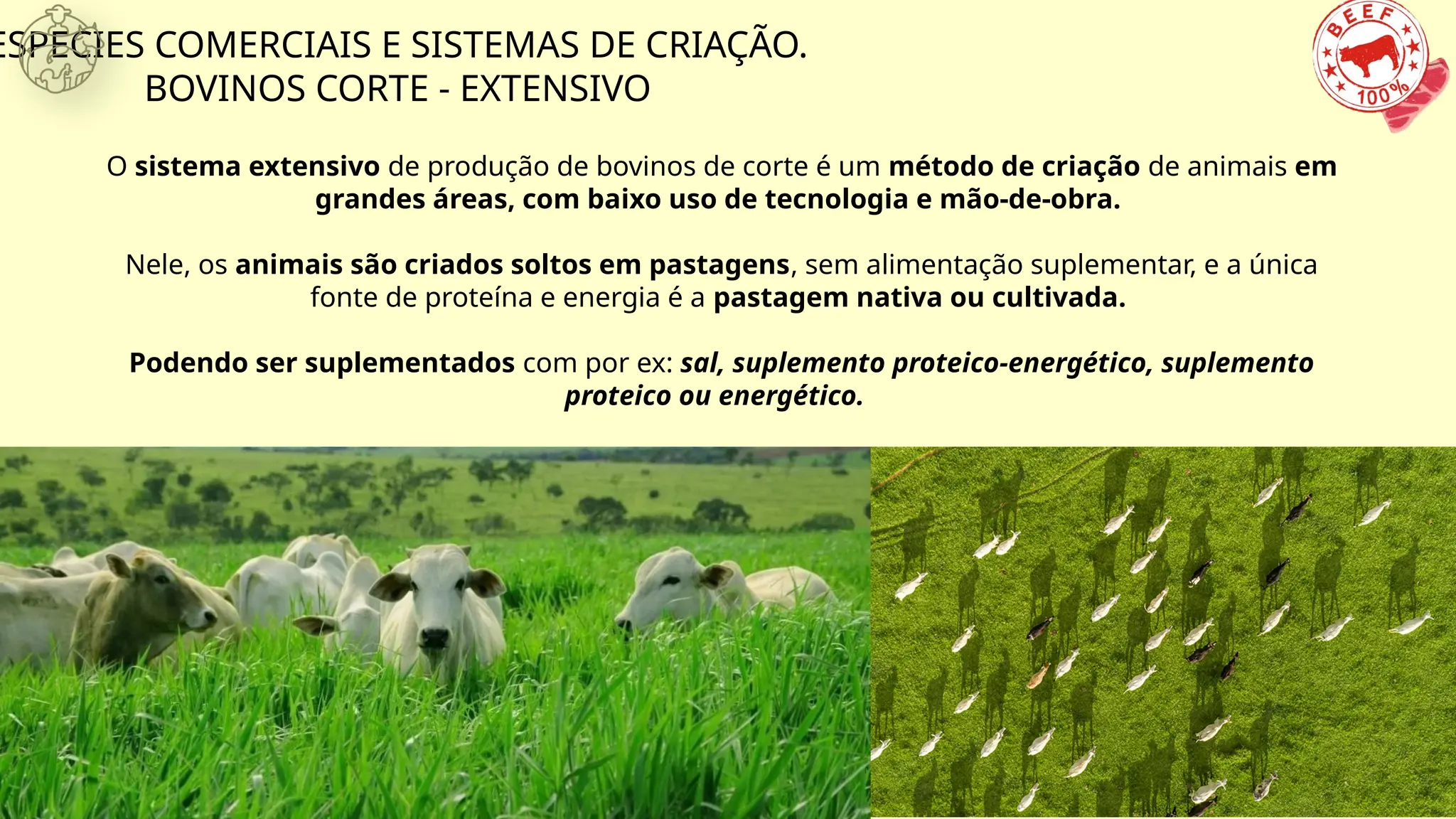Sistemas de Produção animal - Intensivo semi-extensivo e extensivo | PPTX