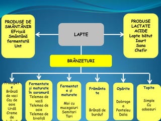 Produse lactate | PPTX
