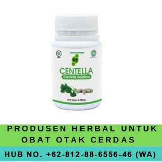 Perusahaan Distributor Vitabrain | PDF