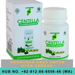 Perusahaan Distributor Vitabrain | PDF