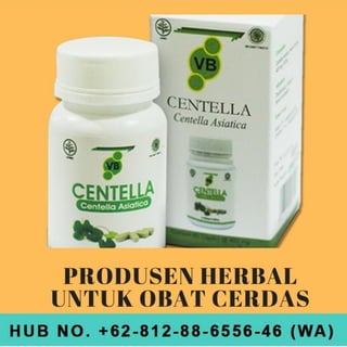 Perusahaan Distributor Vitabrain | PDF