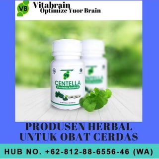 Perusahaan Vitamin Otak Vitabrain | PPTX