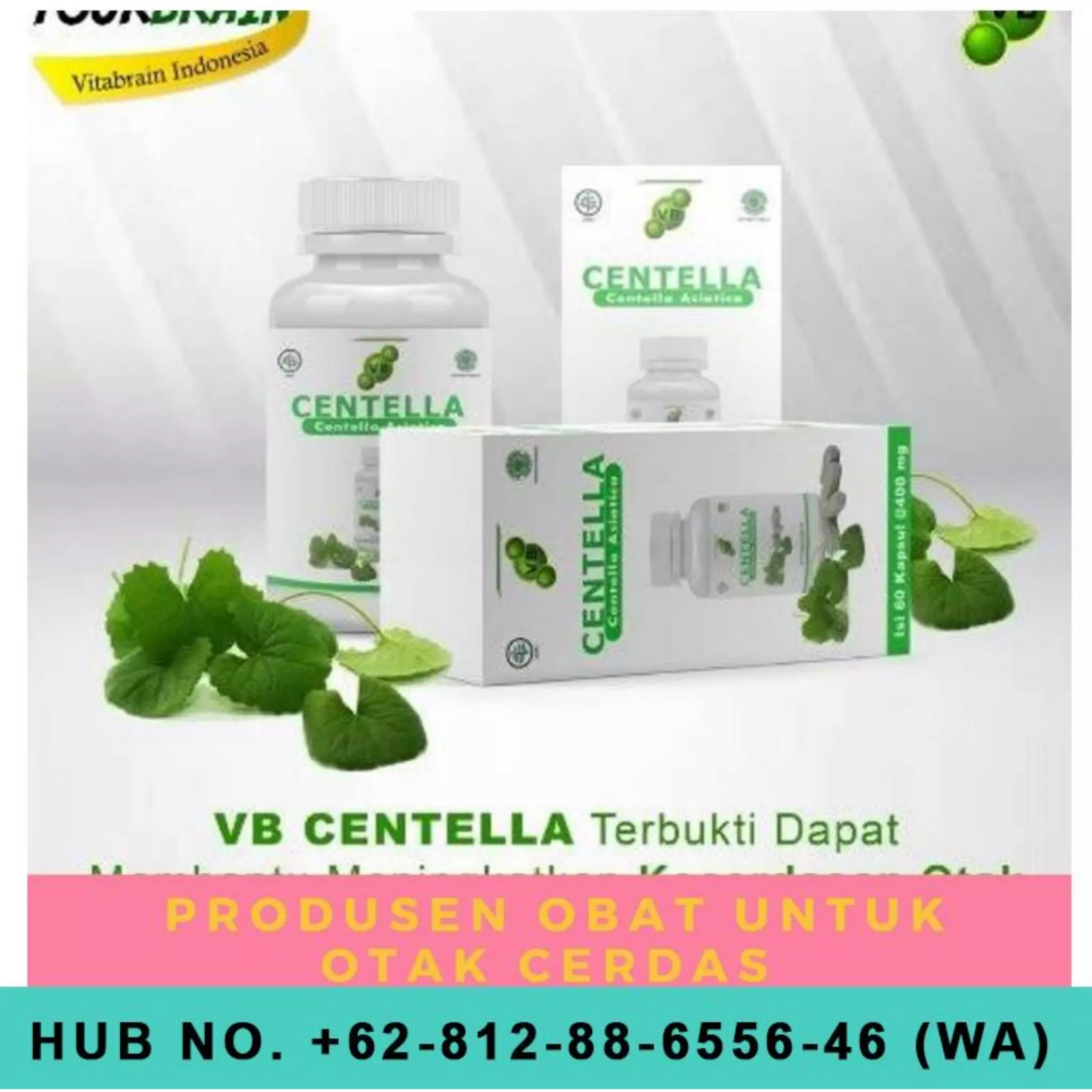 Produsen Vitamin Otak Vitabrain | PDF