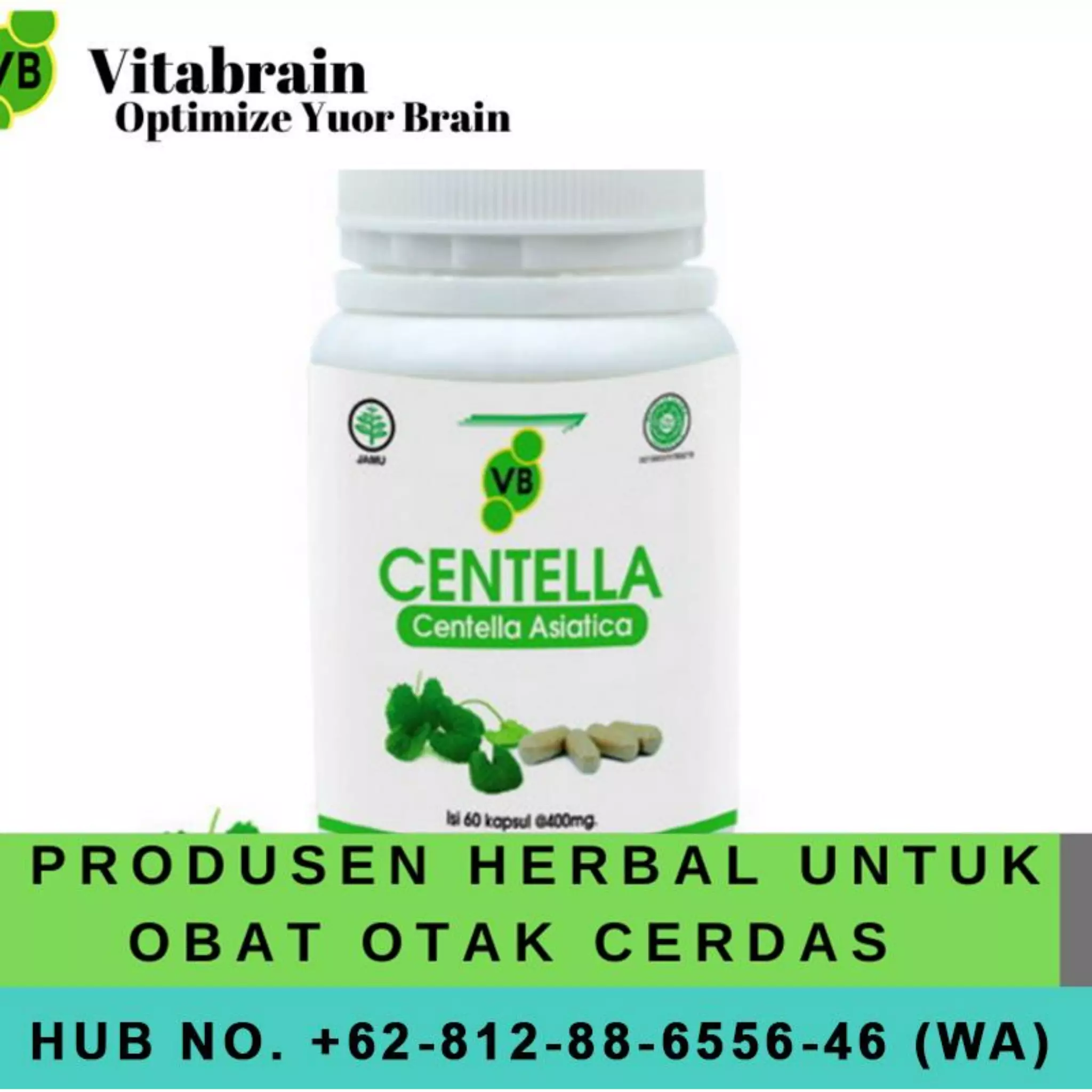 Produsen Vitamin Otak Vitabrain | PDF