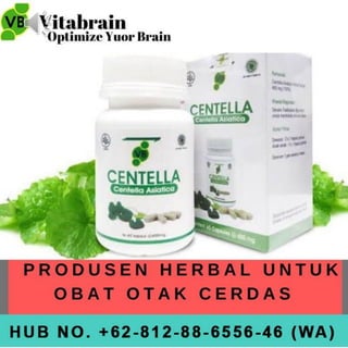 Produsen Vitamin Otak Vitabrain | PDF