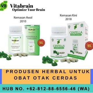 Produsen Vitamin Otak Vitabrain | PDF