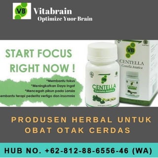 Produsen Vitamin Otak Vitabrain | PDF