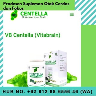 Produsen Vitamin Otak Vitabrain | PDF
