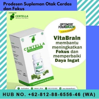Produsen Vitamin Otak Vitabrain | PDF