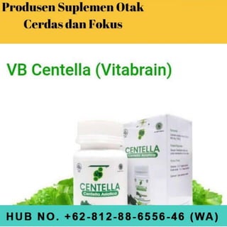 Produsen Vitamin Otak Vitabrain | PDF