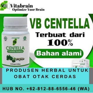 Produsen Vitamin Otak Vitabrain | PDF