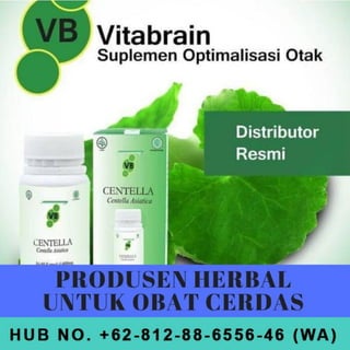 Perusahaan Vitabrain Centella | PDF