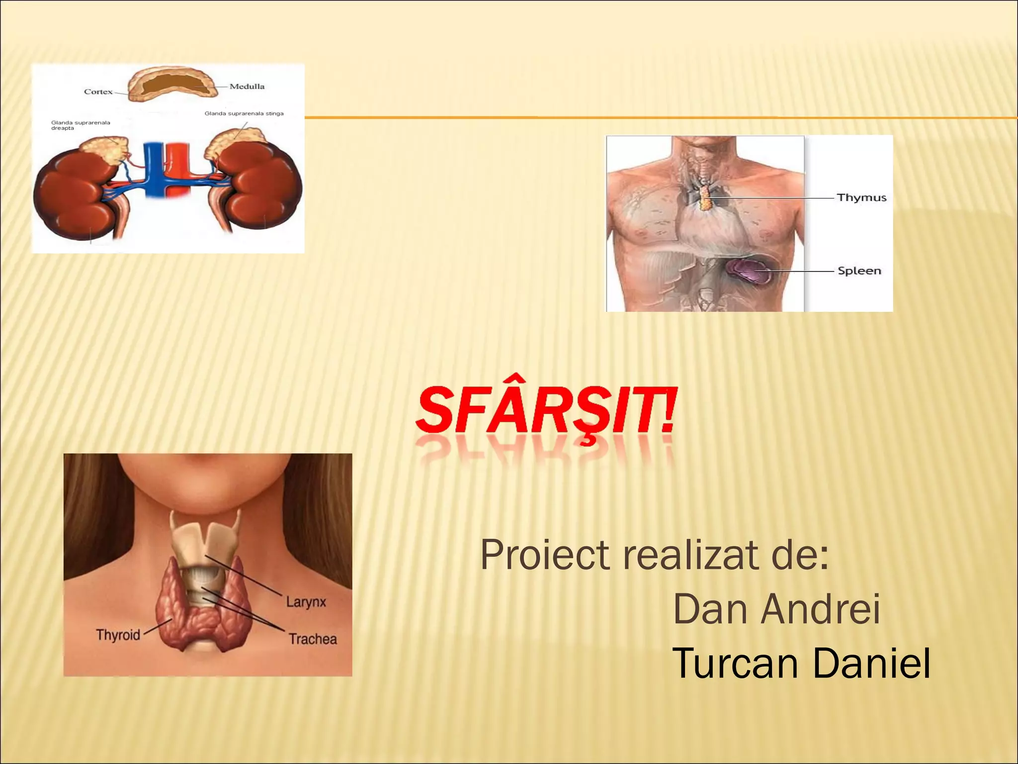 Proiect biologier | PPT