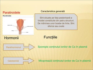 Proiect biologier | PPT