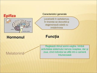 Proiect biologier | PPT