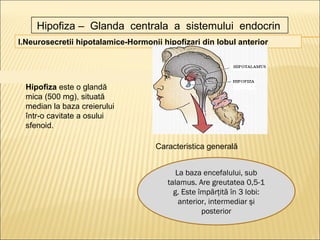 Proiect biologier | PPT