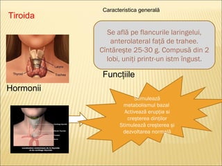 Proiect biologier | PPT
