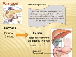 Proiect biologier | PPT