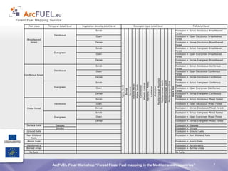 Prof. ioannis gitas (au th) “forest fuel classification and mapping at ...