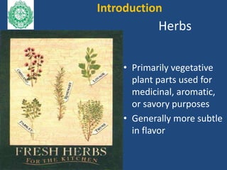 Aromatic Herbs Chart