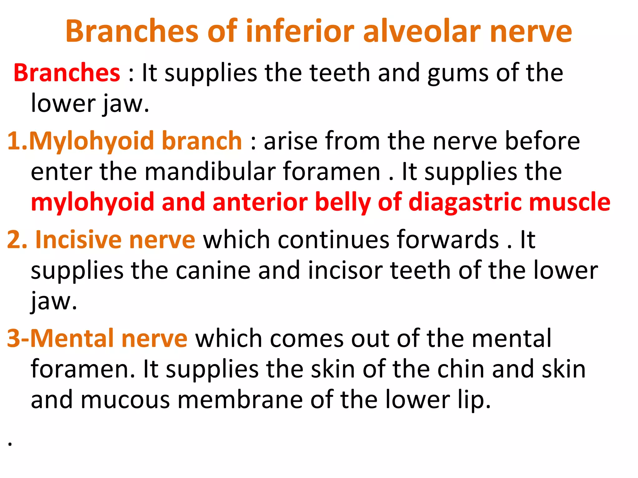 Prof. laila kAU Trigeminal Nerve . | PPT