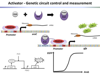 Prof. Ramez Daniel, Technion | PPT