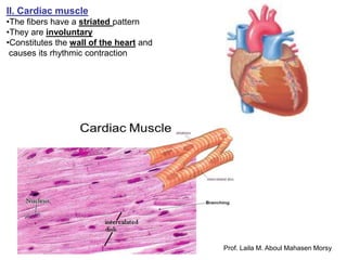 Prof. laila muscular system 2018 | PPT