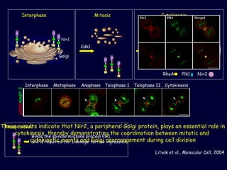 Prof. Sima Lev - Regulatio of Golgi structure and function in ...