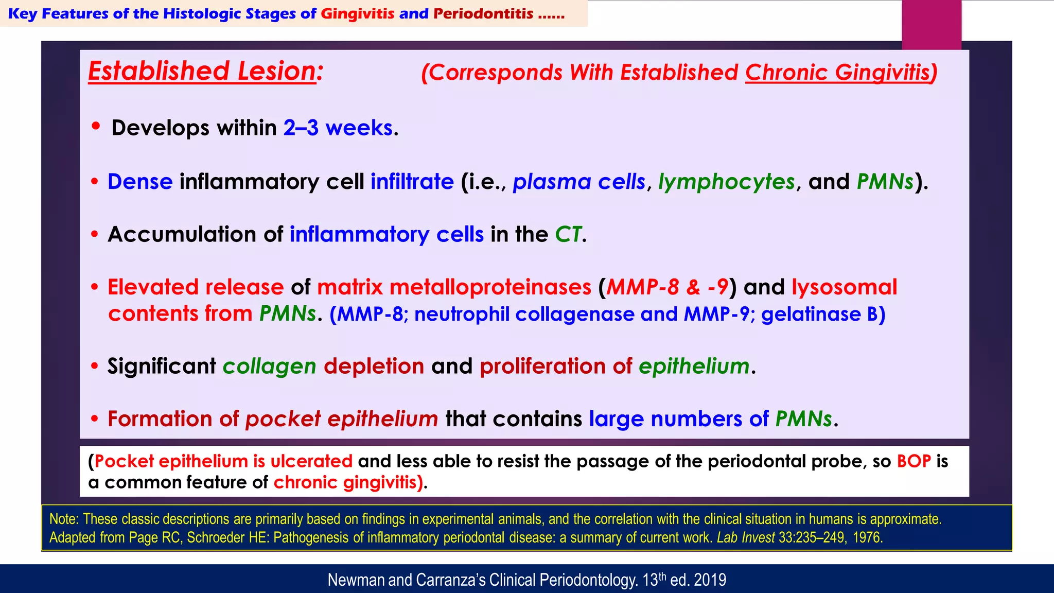 periodonta Disease pathogenesis | PDF