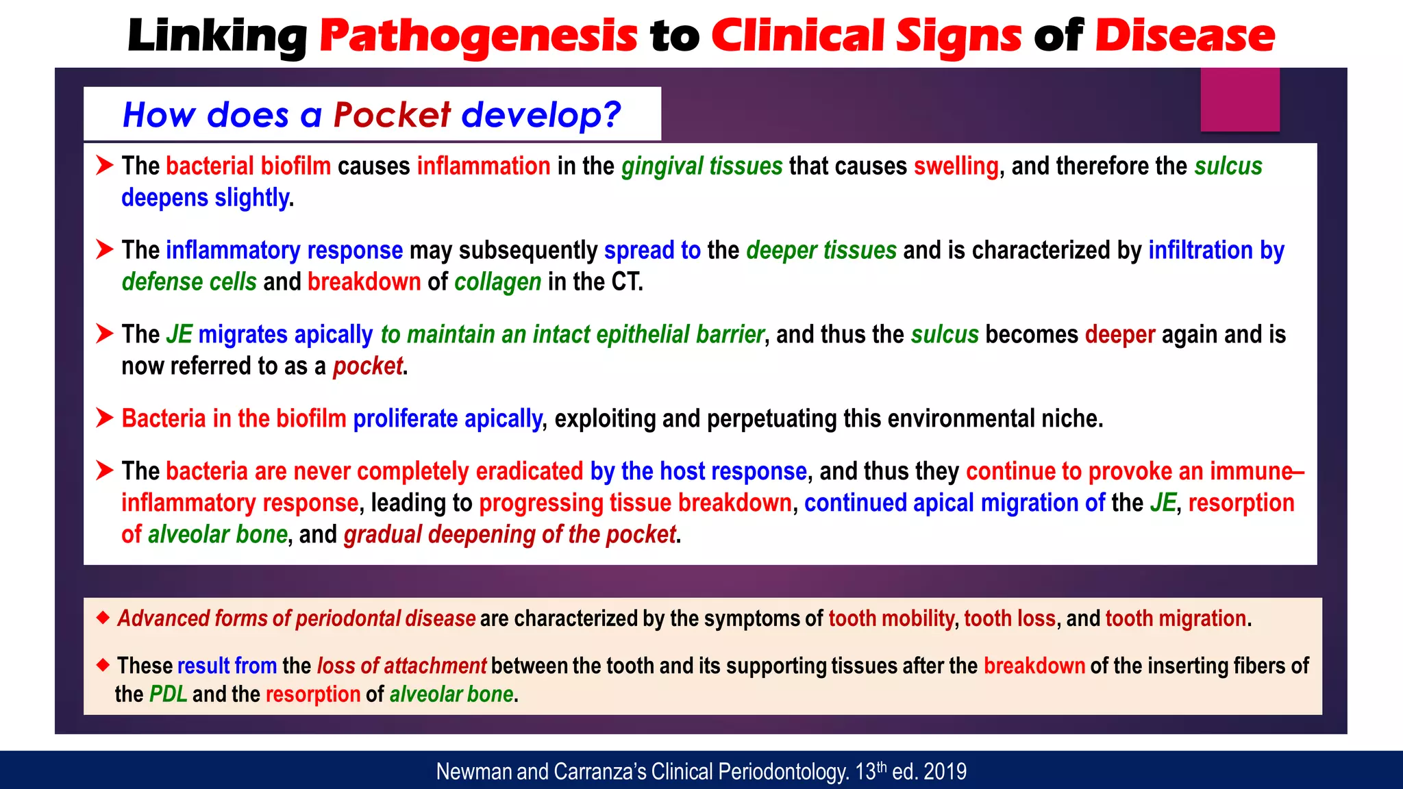 periodonta Disease pathogenesis | PDF