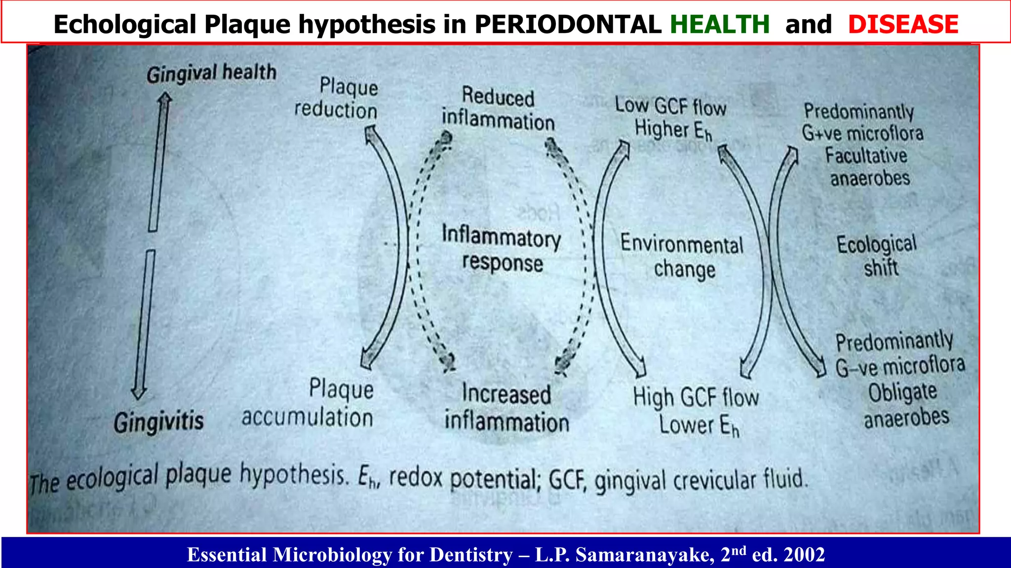 periodonta Disease pathogenesis | PDF